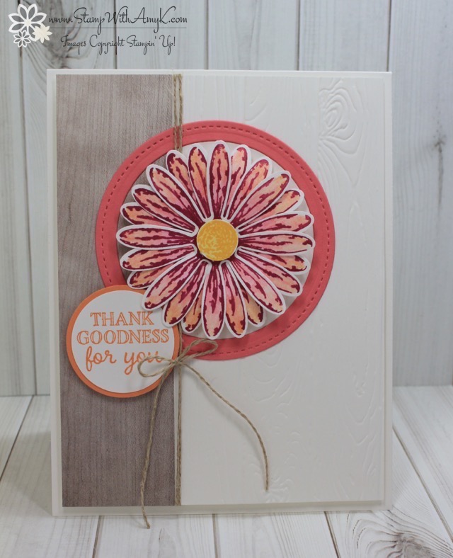 Stampin’ Up! Daisy Delight for Sunday Stamps – Stamp With Amy K