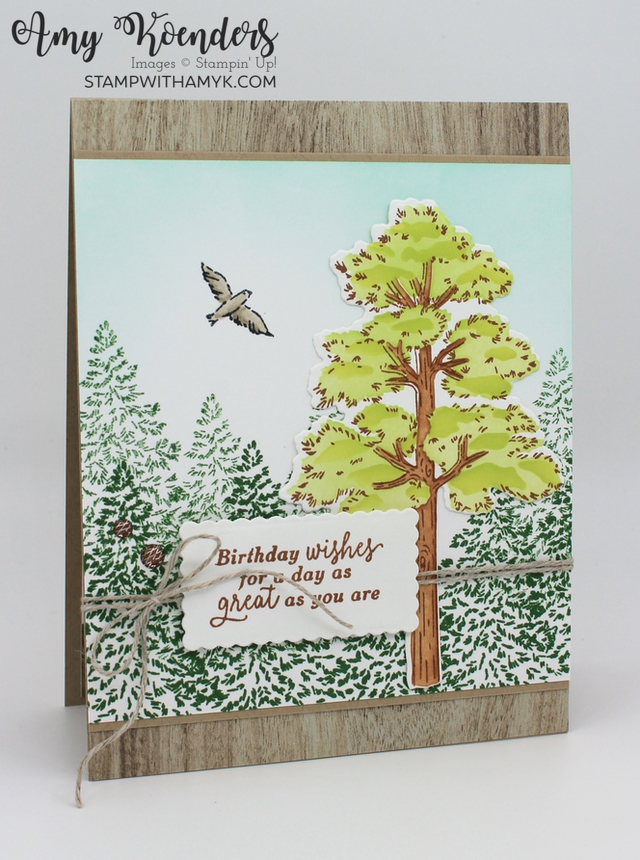 Stampin’ Up! Frosted Forest Birthday Card With Video Tutorial ...